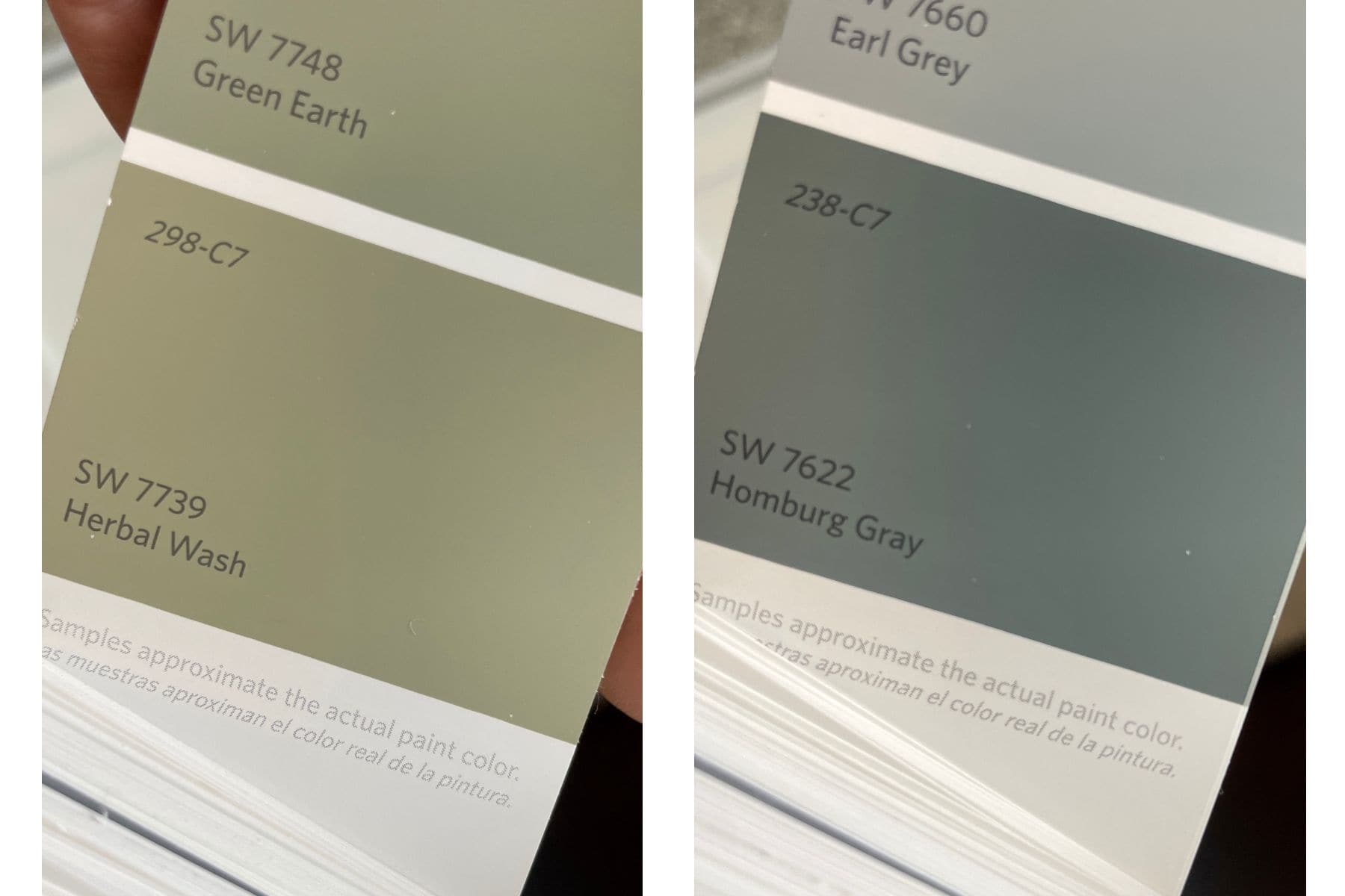 Flairful Hues: Sage Color Palette Guide - Flairfully Yours