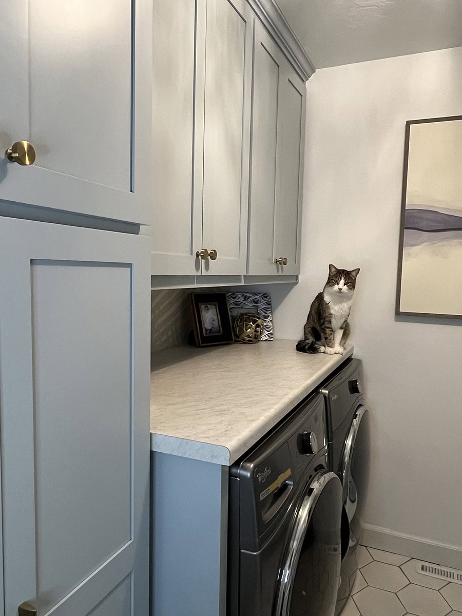 The Best Coastal Blue Cabinet Paint Colors: Why I Love Niebla Azul