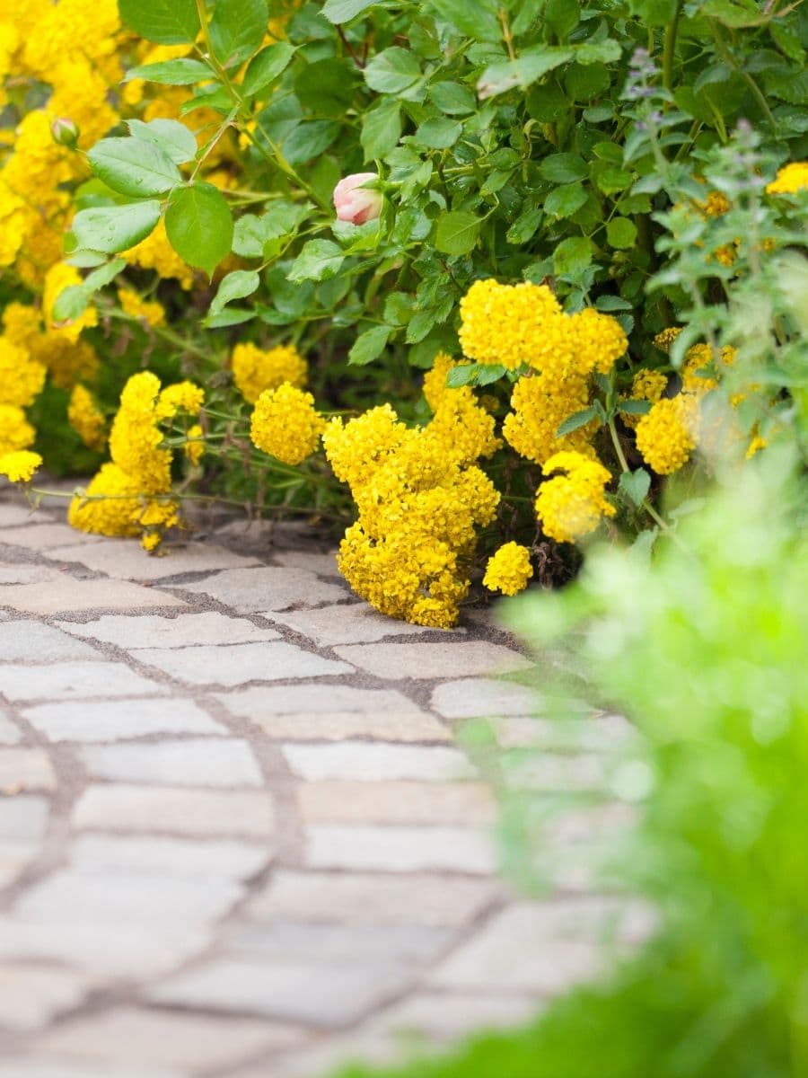 Let’s Brighten Up Your Coastal Home with Lemon Yellow! - Flairfully Yours